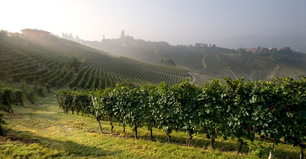 About Us – Wine Source Group