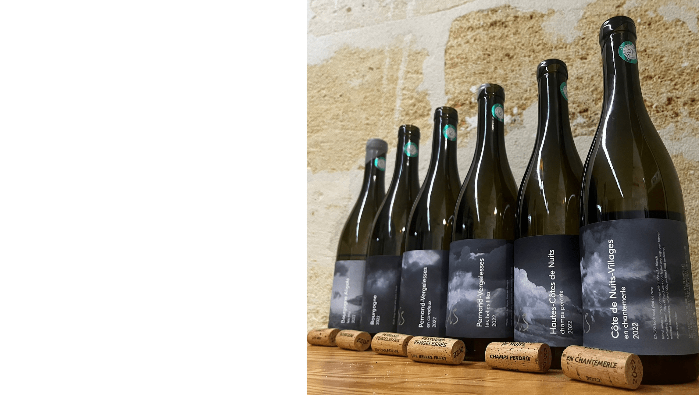 Wine Source Group – The Global Source of Fine Wines & Spirits